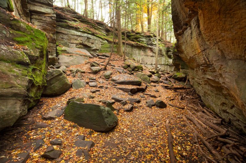 5 Fun Things To Do In Brunswick This Summer - Live Millennium